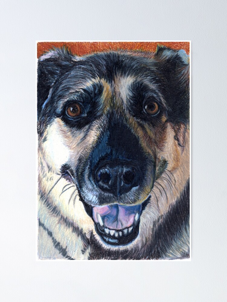 "SAMMY// shepherd mix" Poster by FaithfulFaces | Redbubble