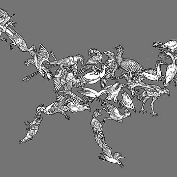 "Evolution of Avialae (Excluding modern birds)" Sticker for Sale by ...