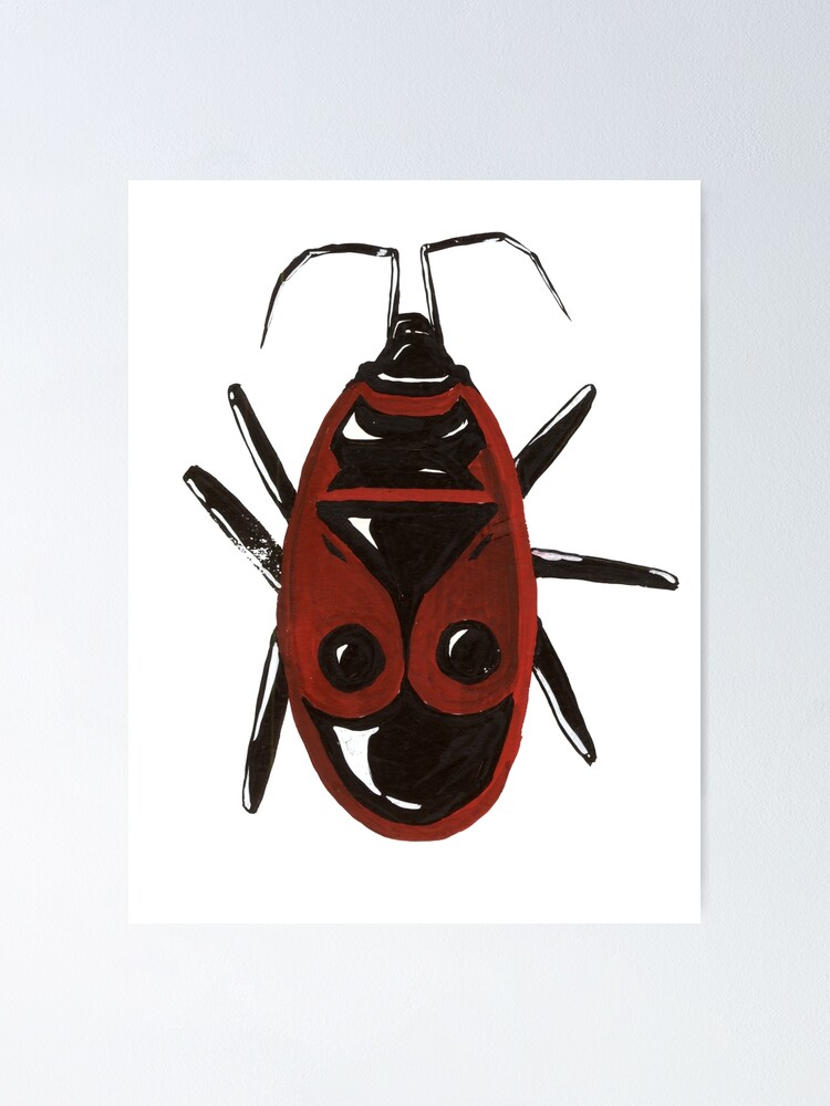 "Eye shaped red bug, transparent background" Poster by Tansael | Redbubble