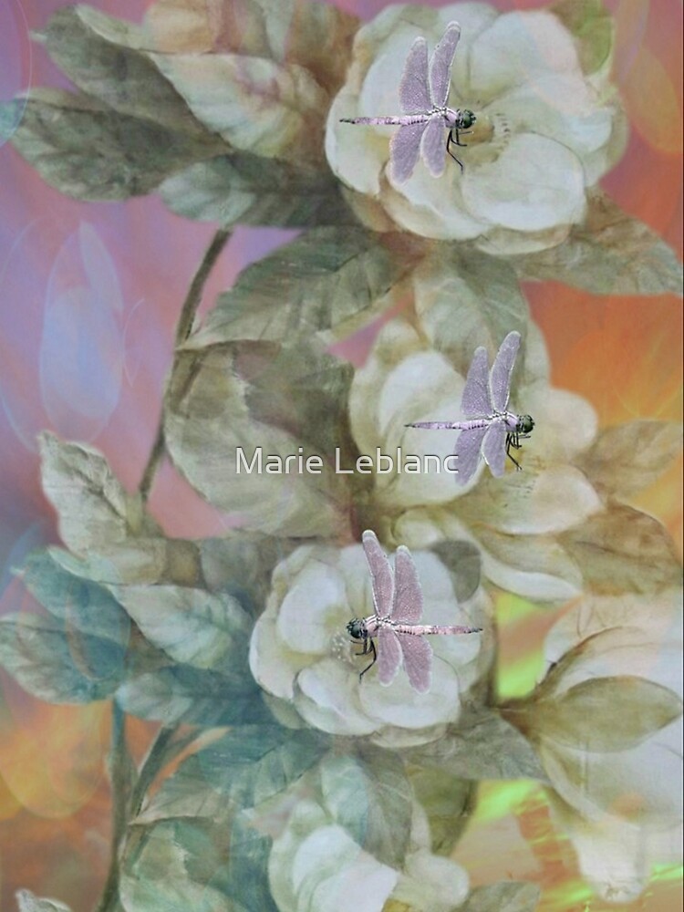"DRAGONFLY ANGELS" by Marie Leblanc | Redbubble