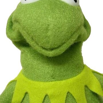 "Confused Kermit" Sticker for Sale by virginiaviolet1 | Redbubble
