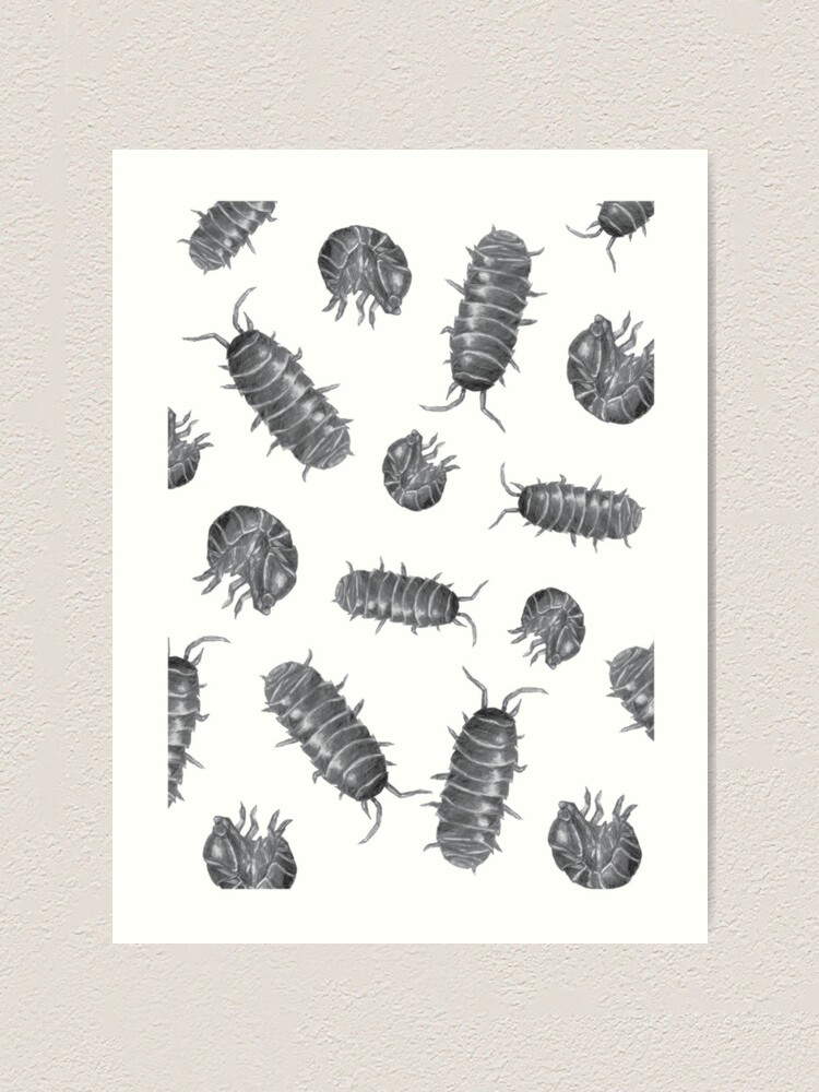 "Woodlice" Art Print by yoiterini | Redbubble