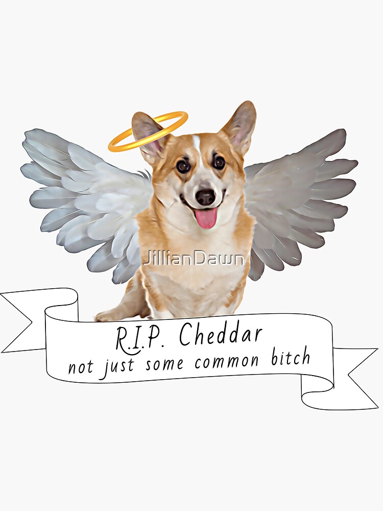 "Rest in Peace Cheddar " Sticker for Sale by JillianDawn | Redbubble