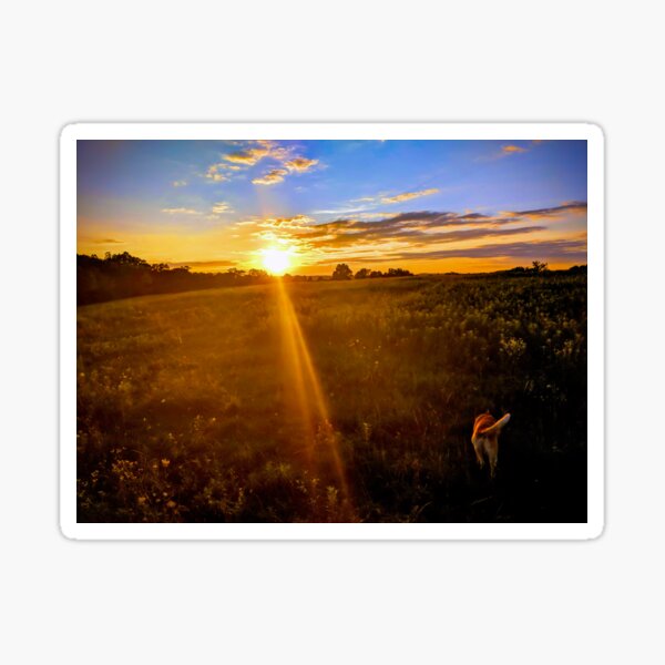 "Lead the Way" Sticker by lifeartconnect | Redbubble