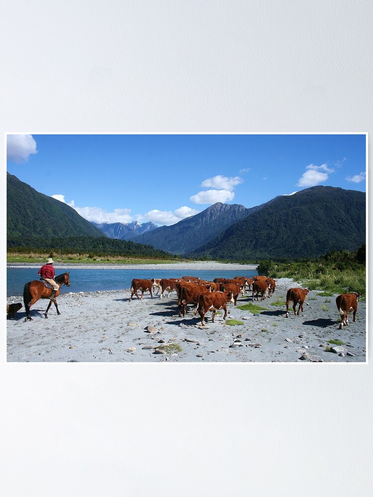 ""going home" mahitahi river, south westland, nz" Poster by ...