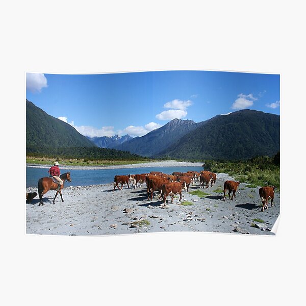 ""going home" mahitahi river, south westland, nz" Poster by ...
