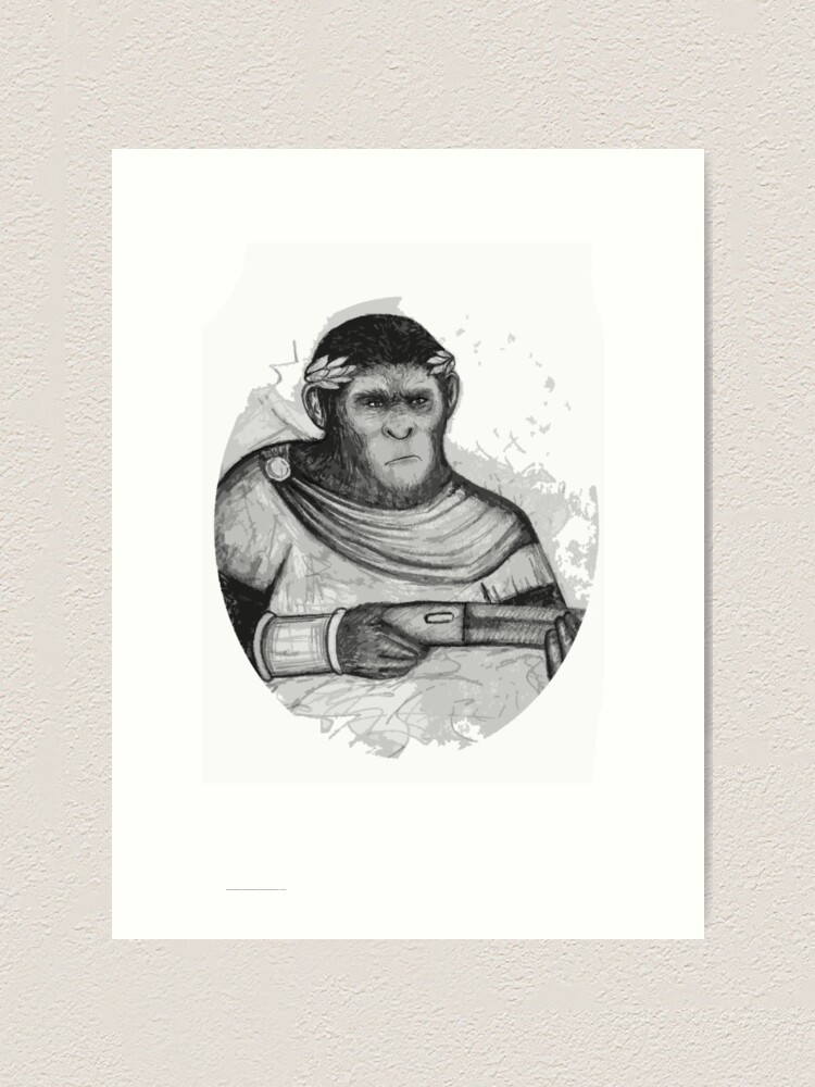 "Caesar, the monkey." Art Print by 33531175 | Redbubble