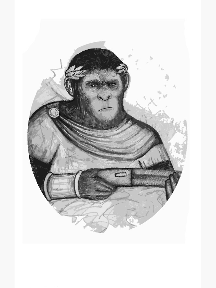 "Caesar, the monkey." Art Print by 33531175 | Redbubble