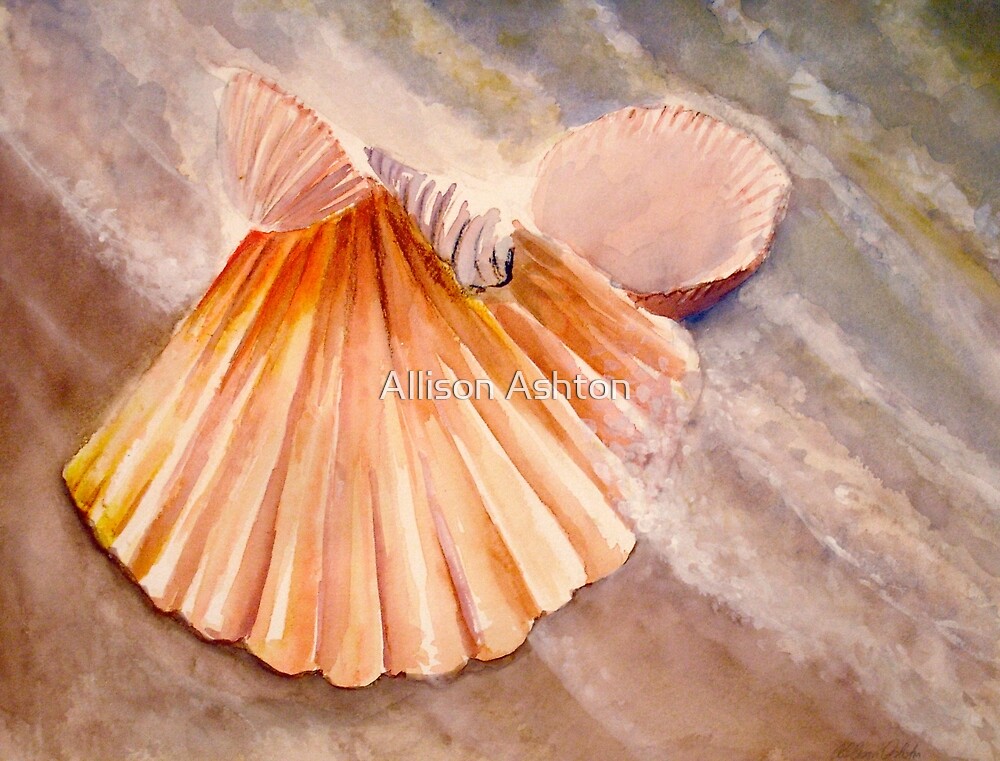 "Shell Life" by Allison Ashton | Redbubble