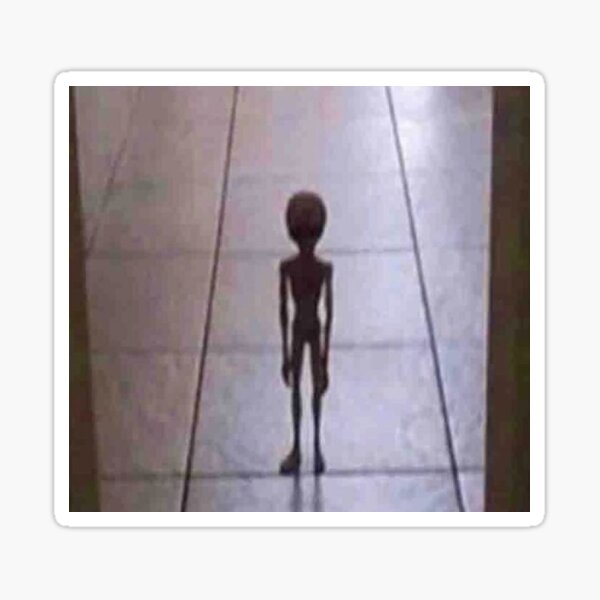 "alien meme" Sticker for Sale by annanagell | Redbubble