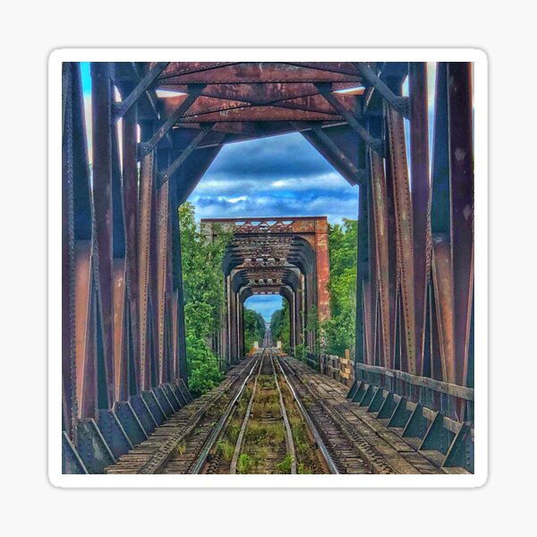 "Riding The Rails" Sticker for Sale by mreleganza | Redbubble