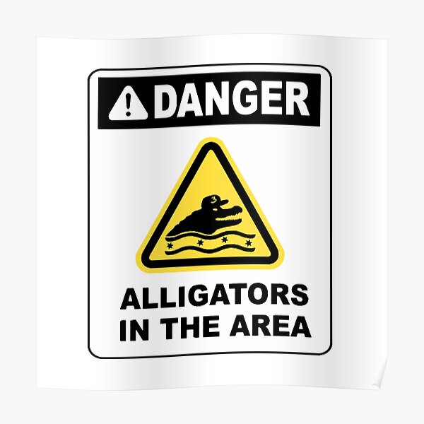 "Chance The Snapper Chicago Gator" Poster for Sale by Saltsaidsweet ...