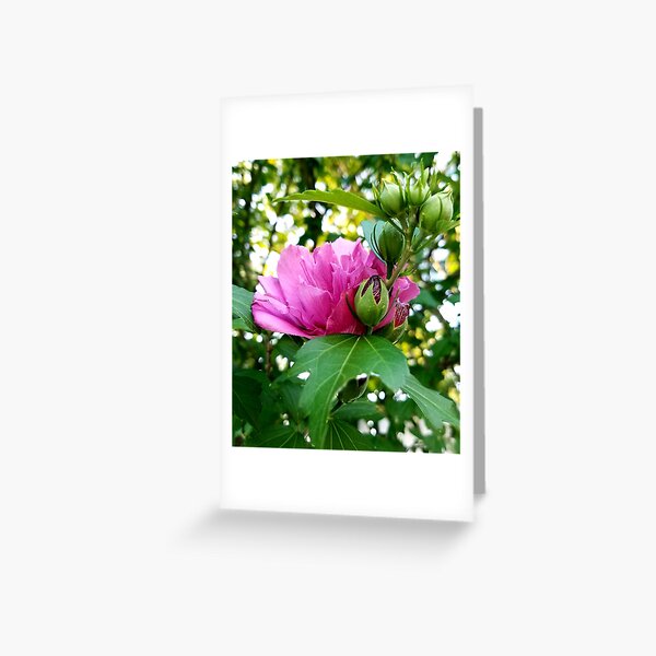 Welcome Back Greeting Cards | Redbubble