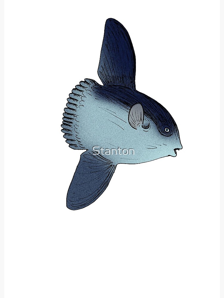 "Austromola" Art Board Print for Sale by Stanton | Redbubble