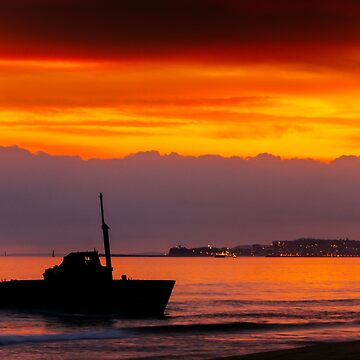 "MS Sygna" Sticker for Sale by Matthew Mollison | Redbubble