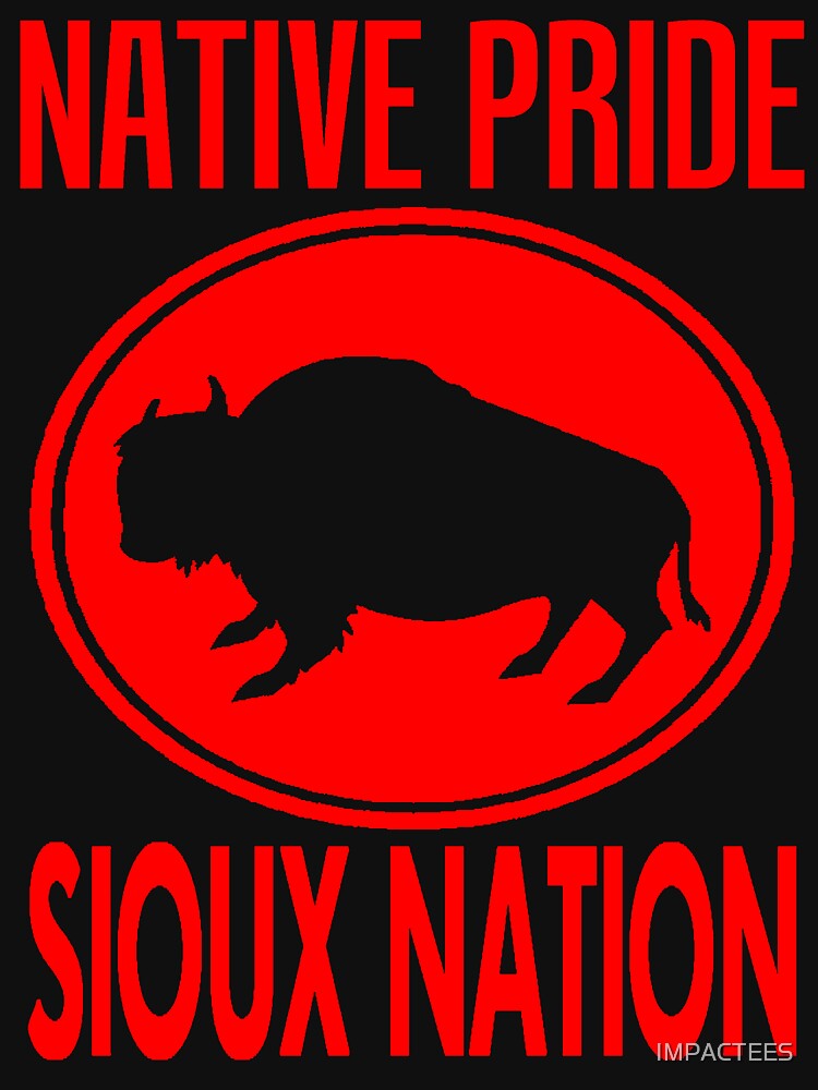 "NATIVE PRIDE-SIOUX NATION" T-shirt by IMPACTEES | Redbubble