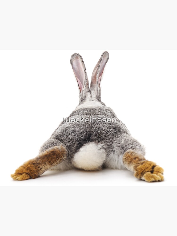 "Just relax rabbit - view from behind" Sticker for Sale by wackelnasen ...