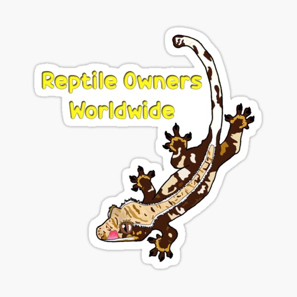 Crested Gecko Stickers | Redbubble