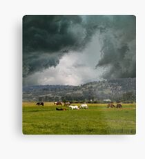 Metal Prints | Redbubble