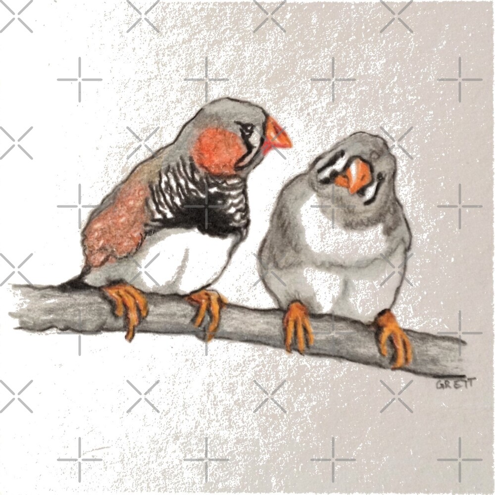 "Zebra Finch Couple" by One-Herd-Art | Redbubble