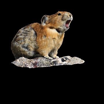 "Pika Howling" Sticker for Sale by WorldDesign | Redbubble
