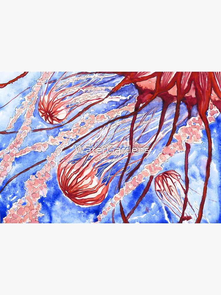 "The Wonderful World of Jellyfish" Sticker for Sale by WaterGardens ...