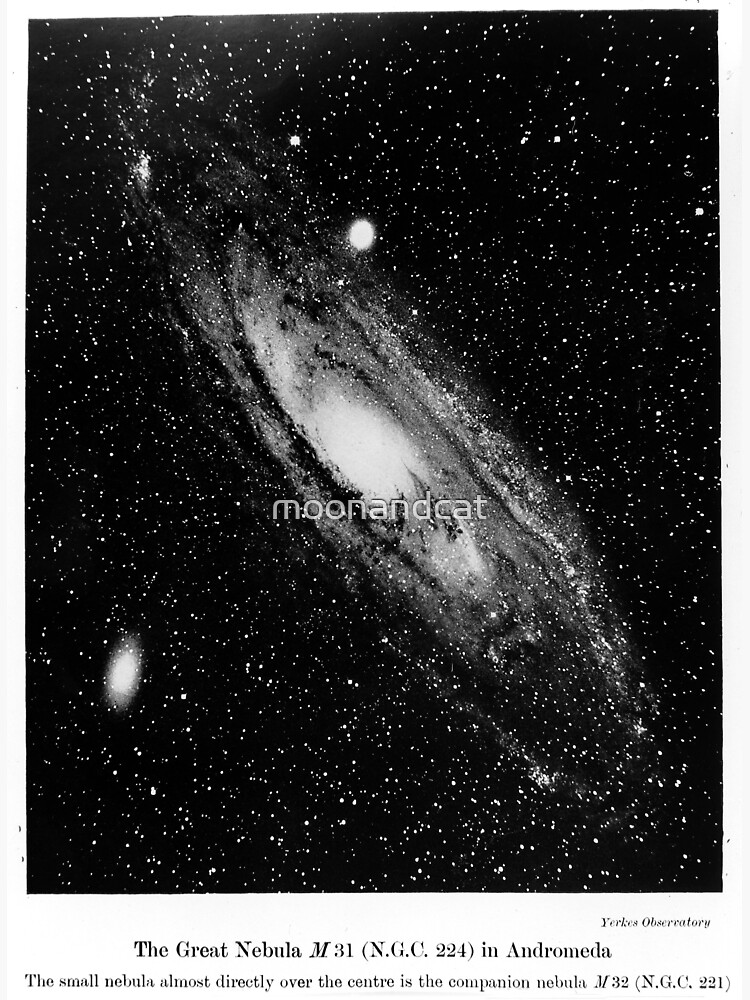 Antique Photograph of the Andromeda Great Nebula Premium Matte Vertical ...