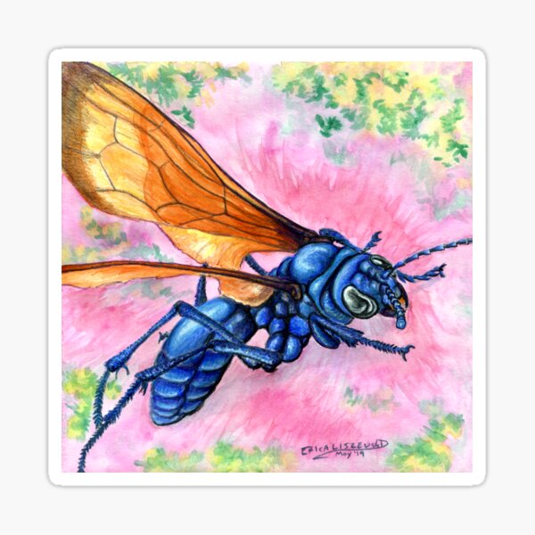 "Tarantula Hawk" Sticker for Sale by BlueAppaloosa | Redbubble