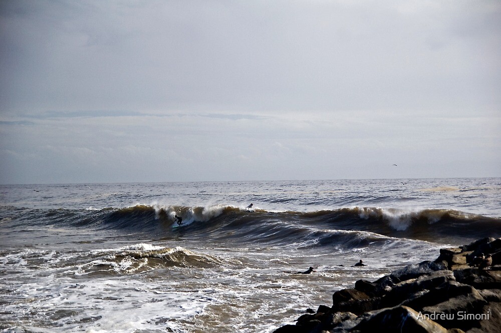 "Split Pea Surf" by Andrew Simoni | Redbubble