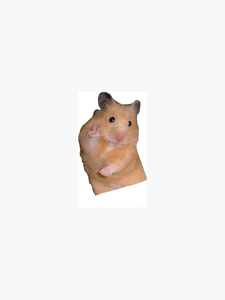 "Hamster Meme" Magnet von shelbylickliter | Redbubble