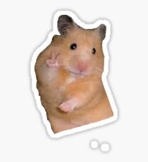 Hamster Stickers | Redbubble
