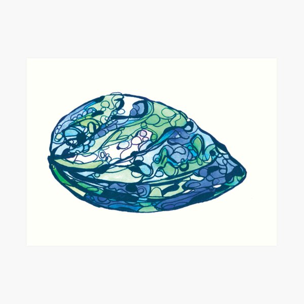Paua Shell Wall Art | Redbubble