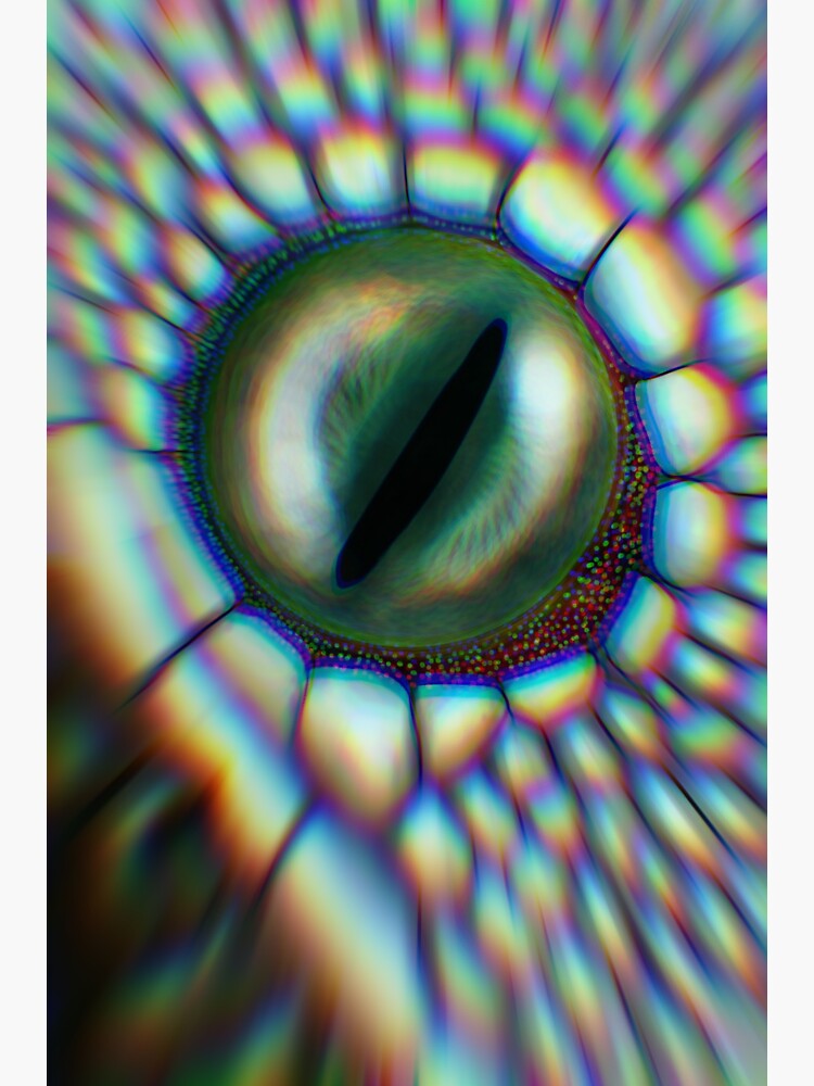 "Serpent's eye" Sticker for Sale by Chrono32 | Redbubble