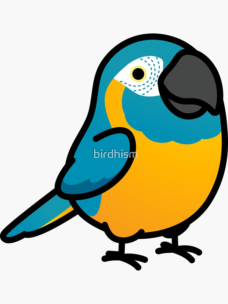 "Chubby Blue-throated Macaw" Sticker for Sale by birdhism | Redbubble
