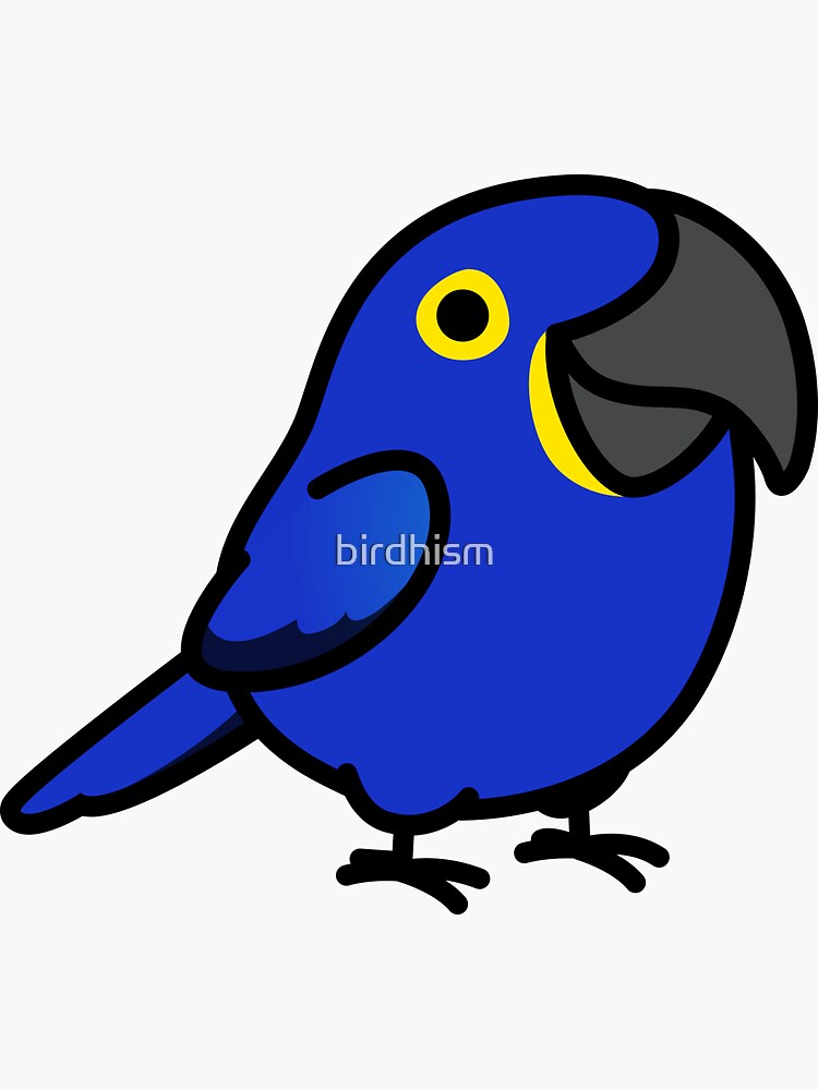 "Chubby Hyacinth Macaw" Sticker for Sale by birdhism | Redbubble