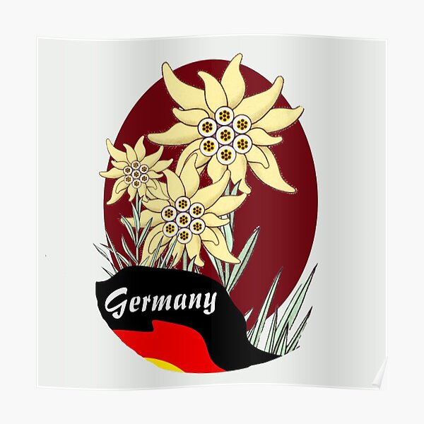 Edelweiss Posters | Redbubble