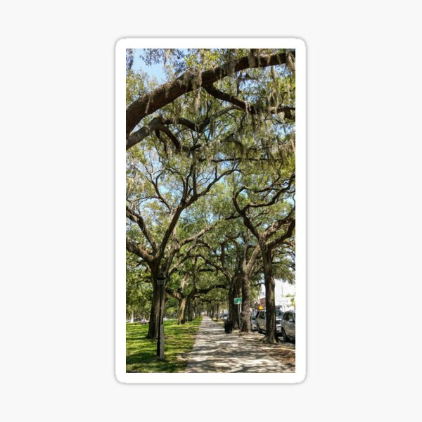 Savannah Georgia Stickers | Redbubble