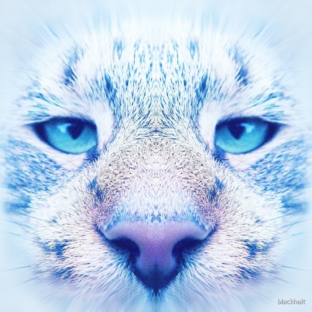 "Ice Spirit" by blackhalt | Redbubble