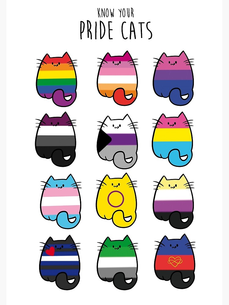 "Pride cats" Poster by Plasmakatha | Redbubble
