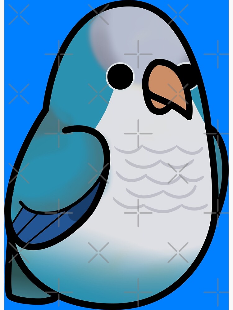 "Too Many Birds! - Blue Quaker Parrot/Monk Parakeet" Poster by ...