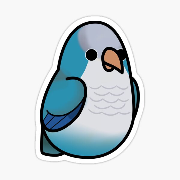 "Too Many Birds! - Blue Quaker Parrot/Monk Parakeet" Sticker for Sale ...
