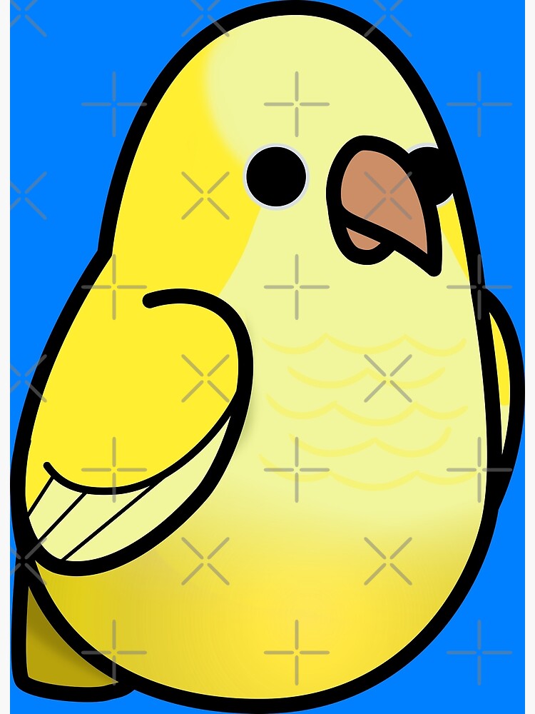 "Too Many Birds! - Lutino Quaker Parrot/Monk Parakeet" Poster by ...