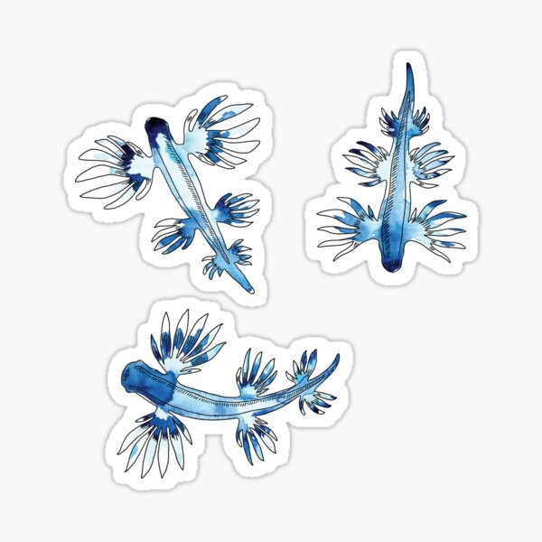 "Blue Dragon Nudibranch (Glaucus Atlanticus)" Sticker for Sale by ...