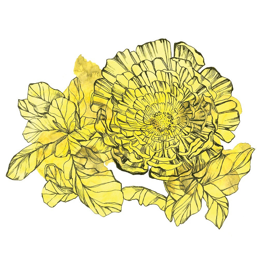 "Yellow flower sticker" by Sharon Farrow | Redbubble