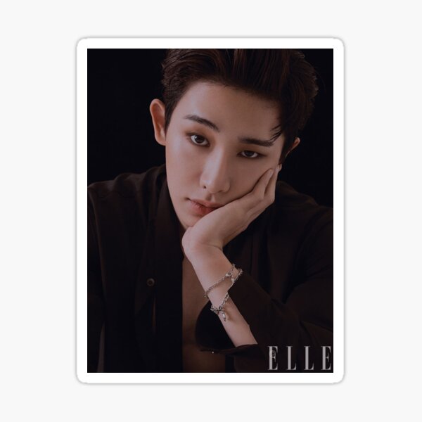 "Wonho Elle Korea" Sticker for Sale by liliidaes | Redbubble