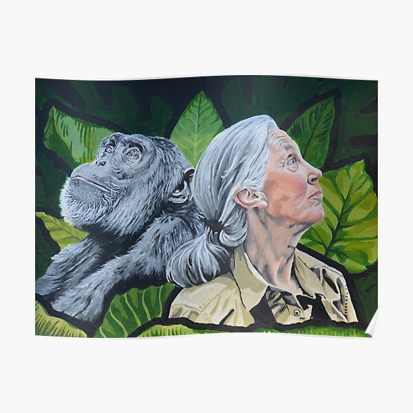 "Jane Goodall" Poster von reidmunro | Redbubble