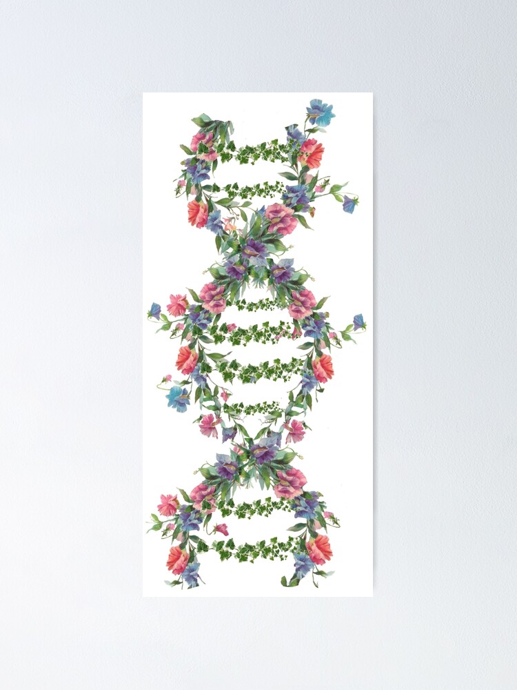 "Flower DNA" Poster for Sale by stickersisters | Redbubble