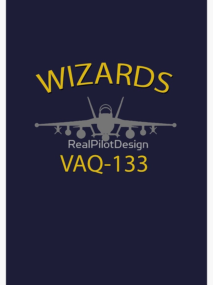 "US Navy VAQ-133 Wizards USN Electronic Attack Squadron EA-18G Growler ...