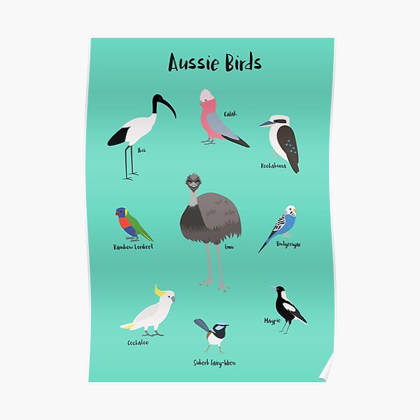 "Australian Birds" Poster for Sale by BlackKatCreativ | Redbubble