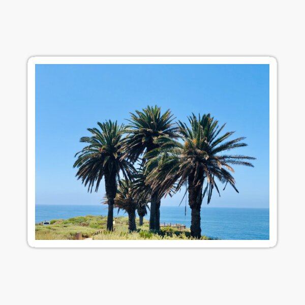 "Palos Verdes Palms" Sticker by irishfisherman2 | Redbubble
